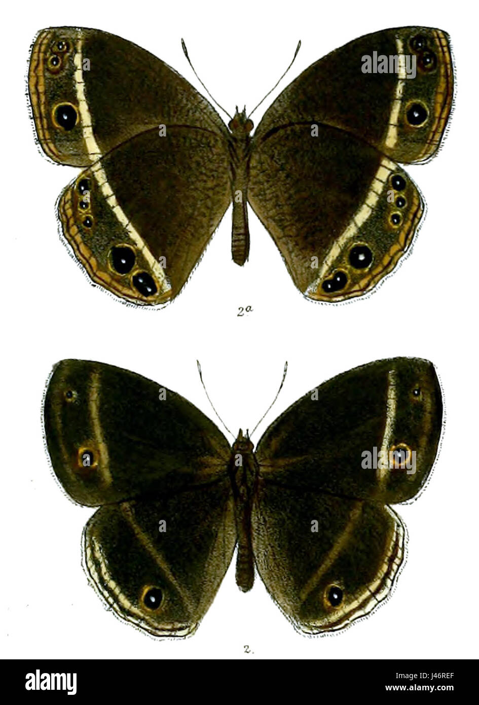 2 3 67 Cut Out Stock Images & Pictures - Alamy