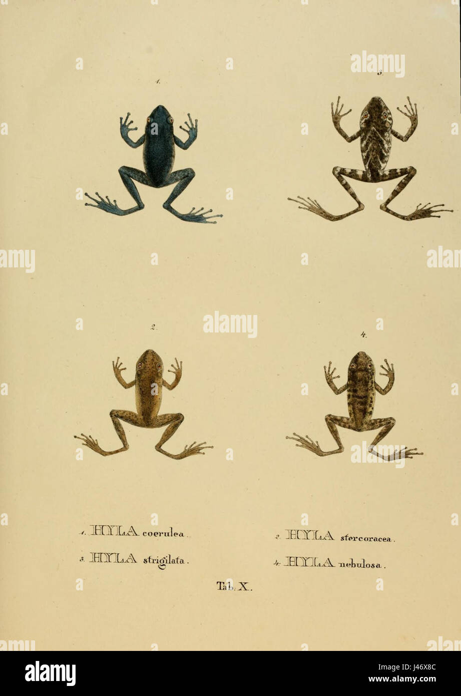 N116 w1150 (7096784967 Stock Photo - Alamy