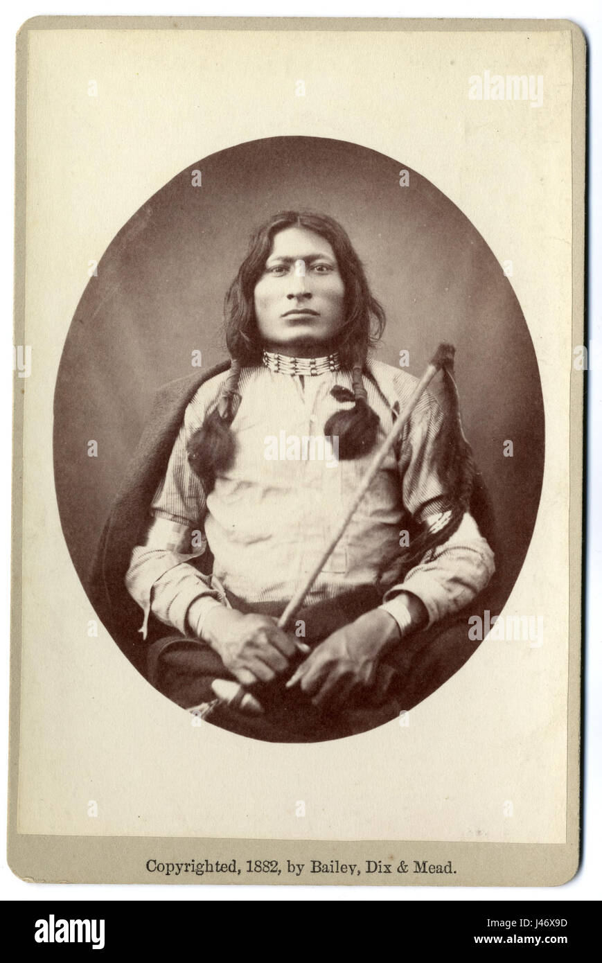 'One Bull' is an 1882 artwork by Bailey Dix Mead, depicting a single ...