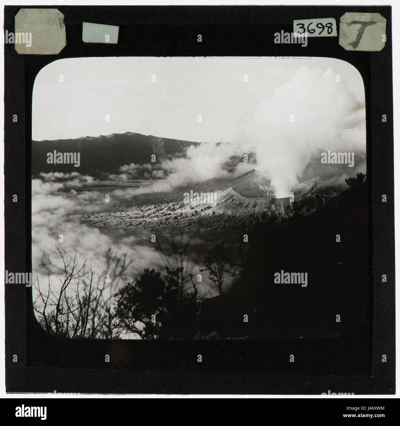 Tosari hi-res stock photography and images - Alamy