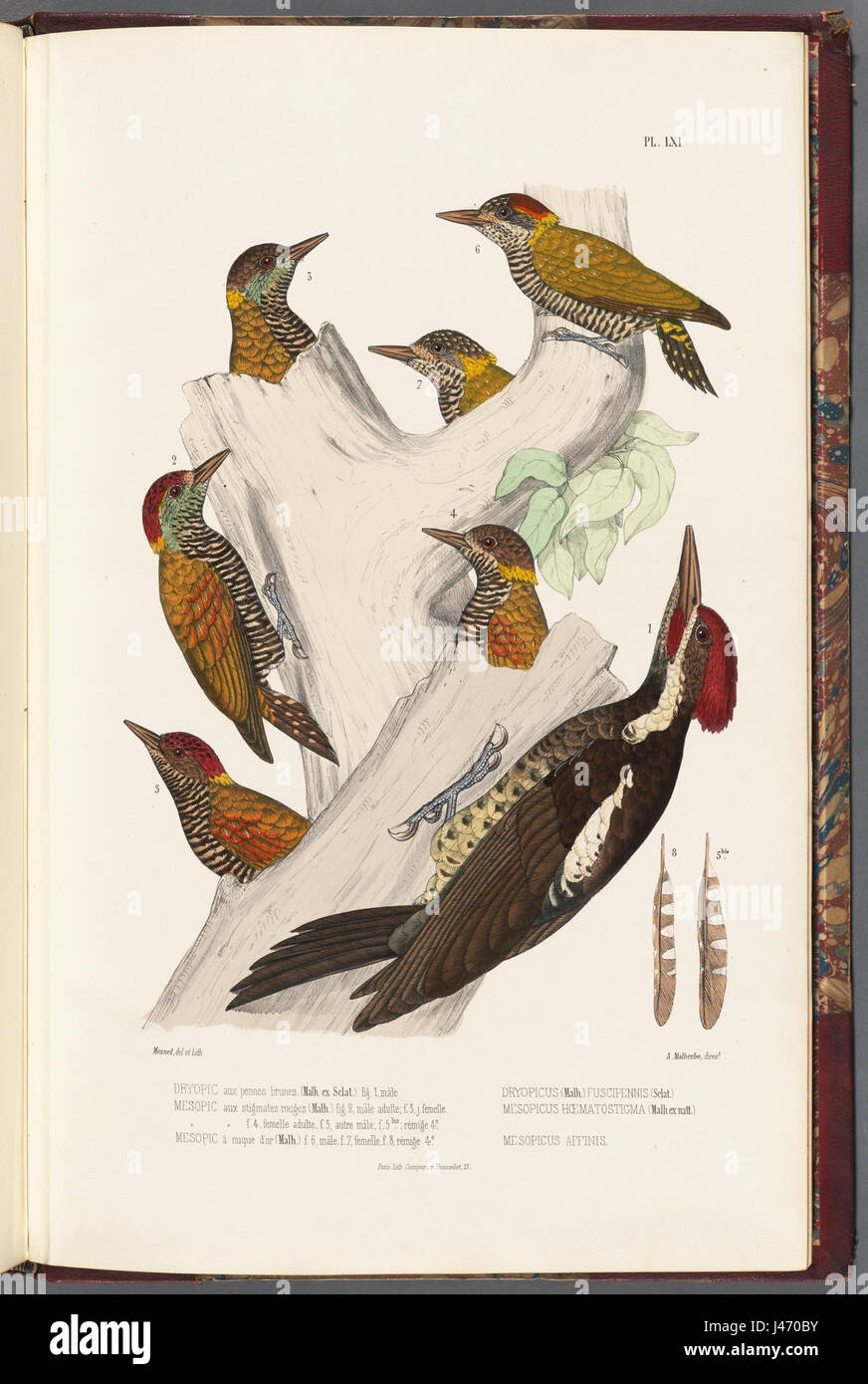 N138 hi-res stock photography and images - Alamy