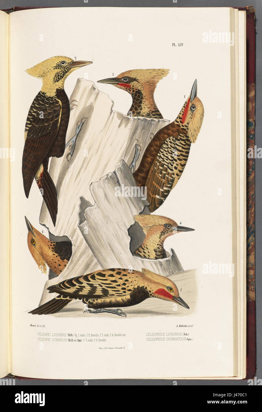 N124 w1150 likely refers to a specific reference or code related to an object, location, or ...