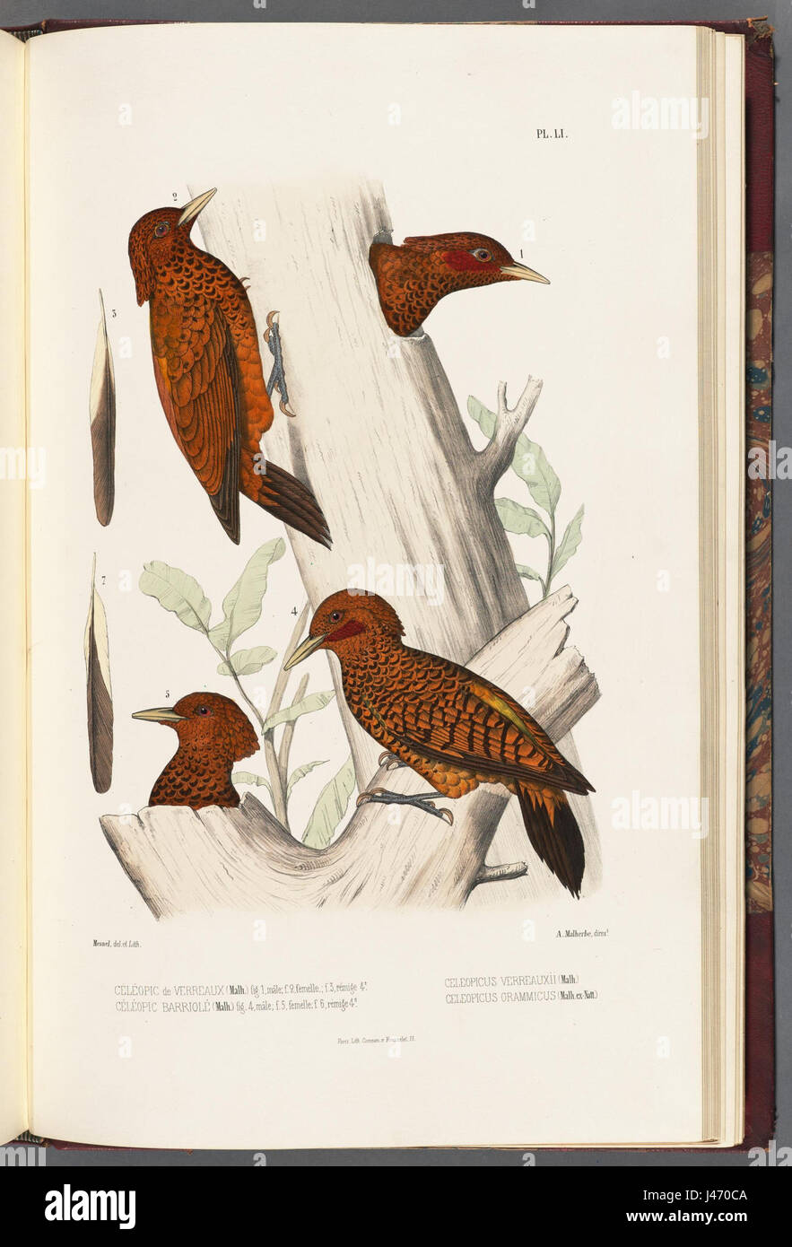 This is likely an unclear reference to a specific object, location, or image identified by the ...