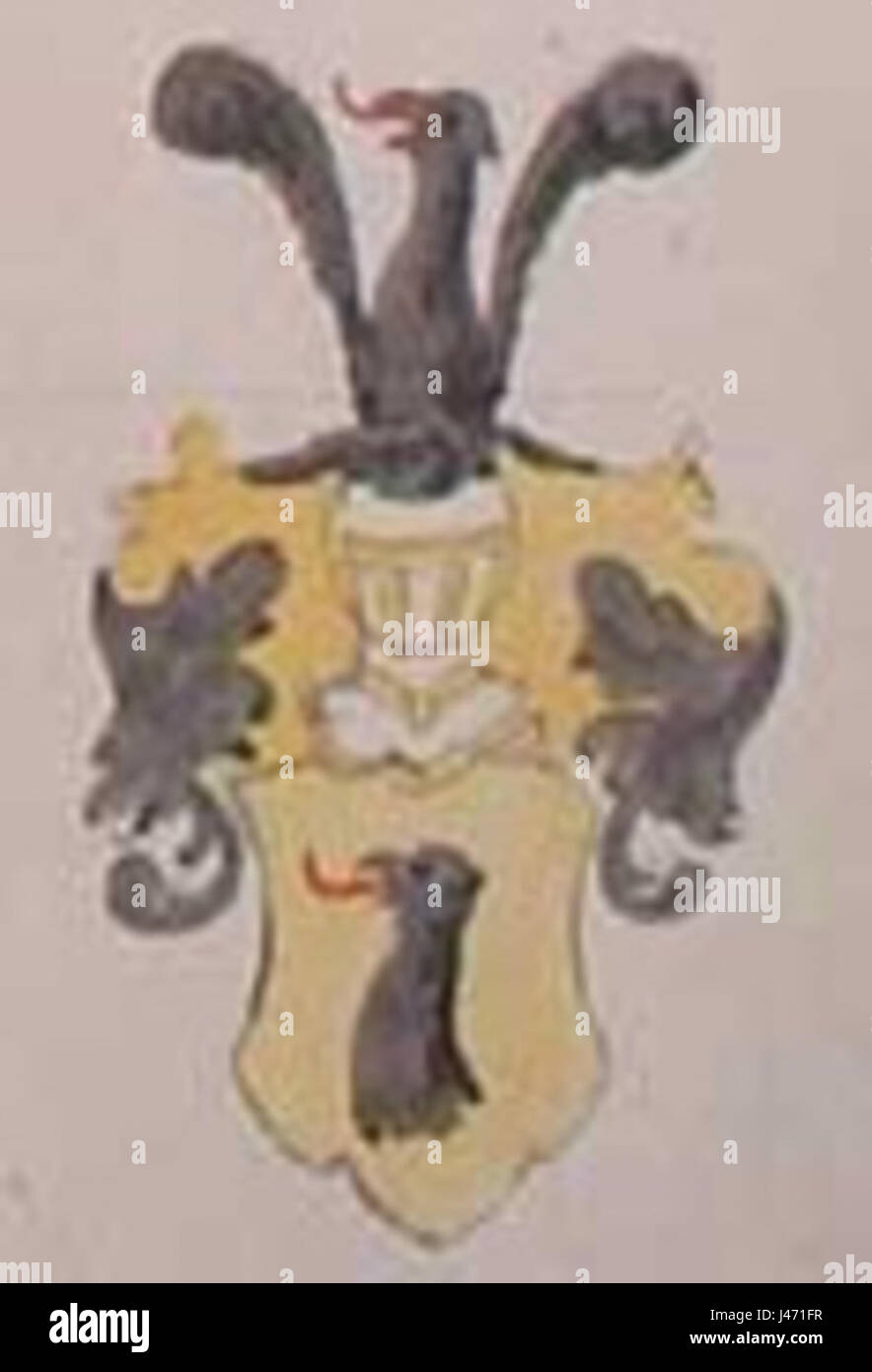 Paderbornscher Rittersal Wappen Schilder refers to the heraldic shields ...