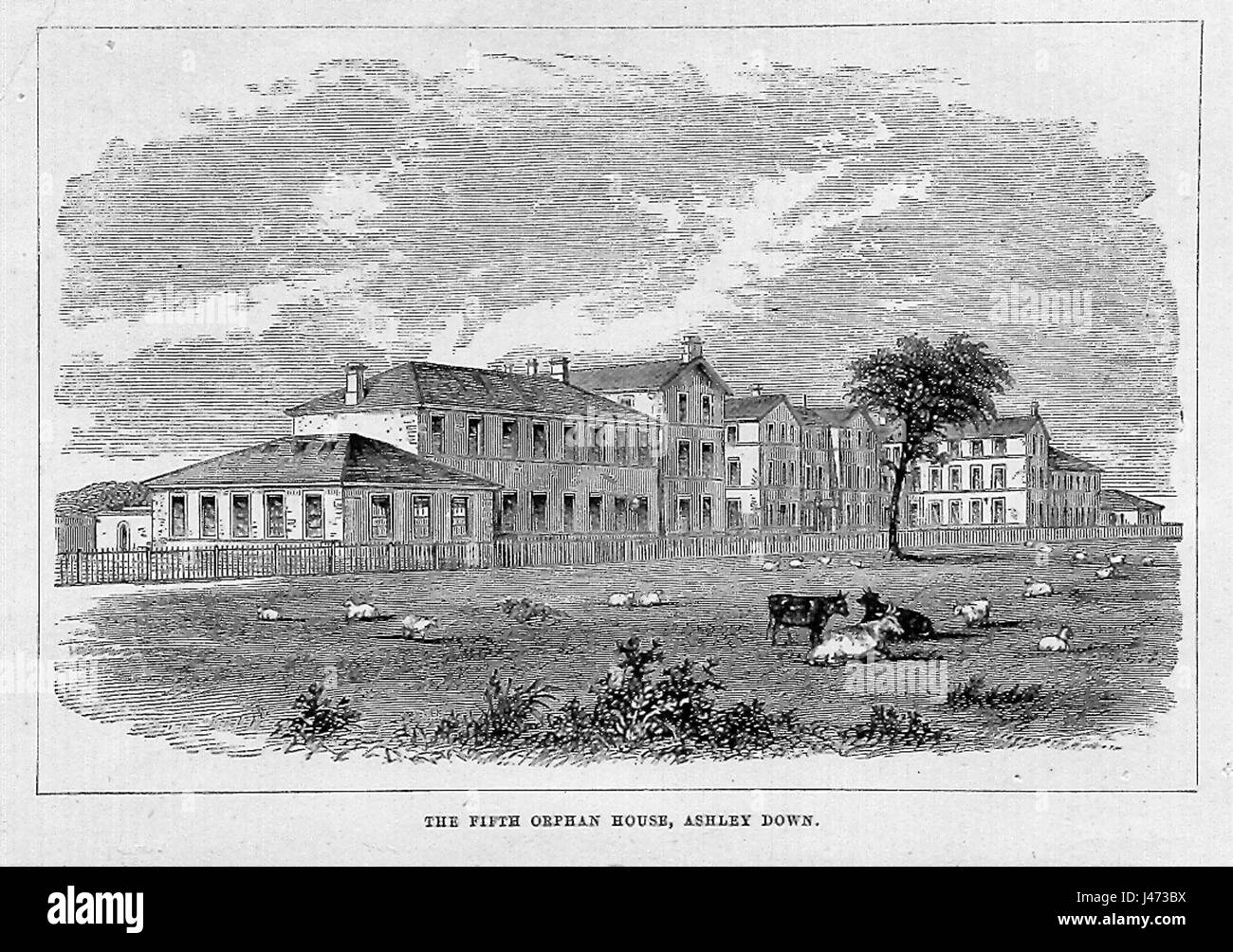 Ashley down orphanage hi-res stock photography and images - Alamy