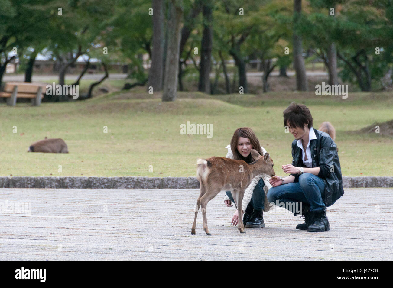 Young couple sightseeing hi-res stock photography and images - Alamy