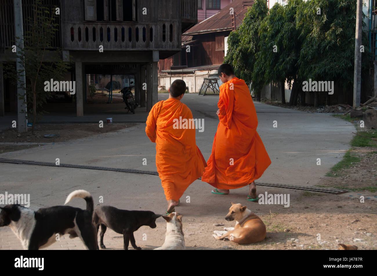 Thailand monk friendship Stock Photo - Alamy