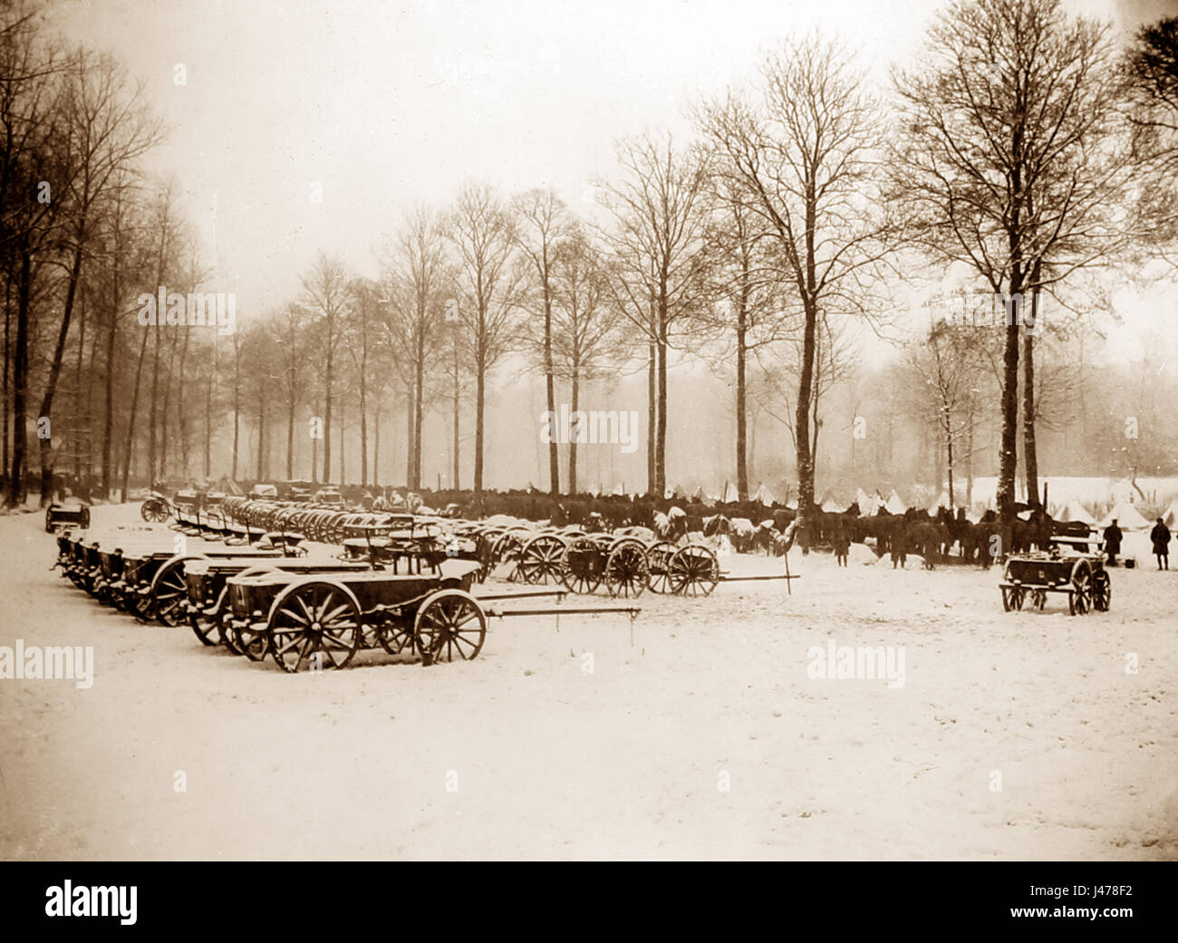 WW1 - Horse transport parked in the snow on the Arras road near St. Pol ...