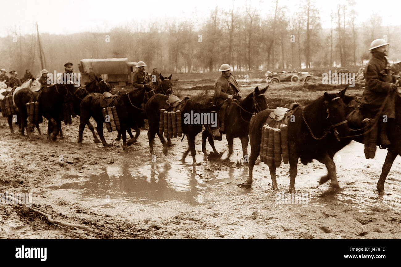 WW1 - Pack horses taking ammunition to the front line near Aveluy Wood ...