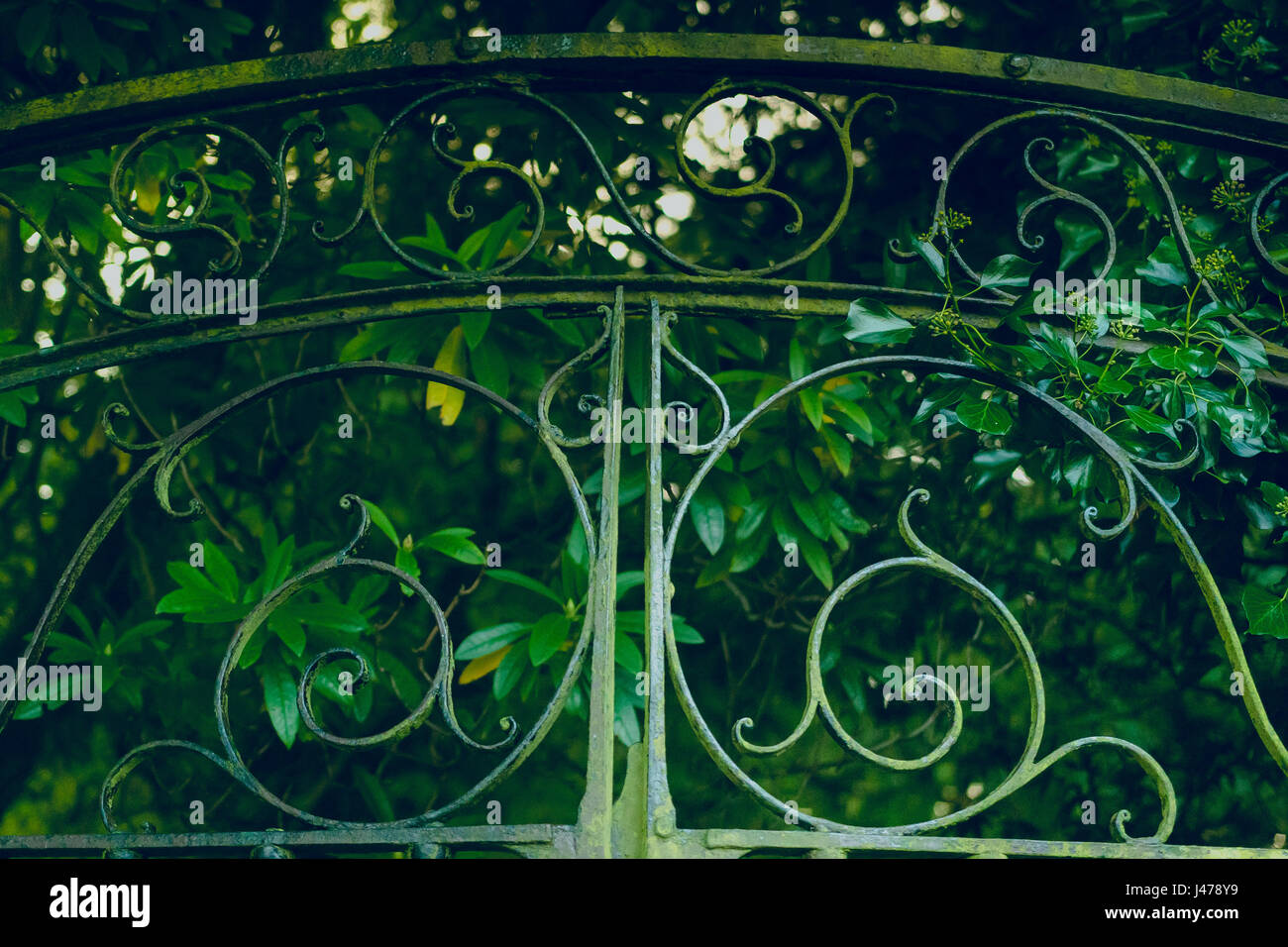 A wrought iron gate guards the entry to a long forgotten garden ...