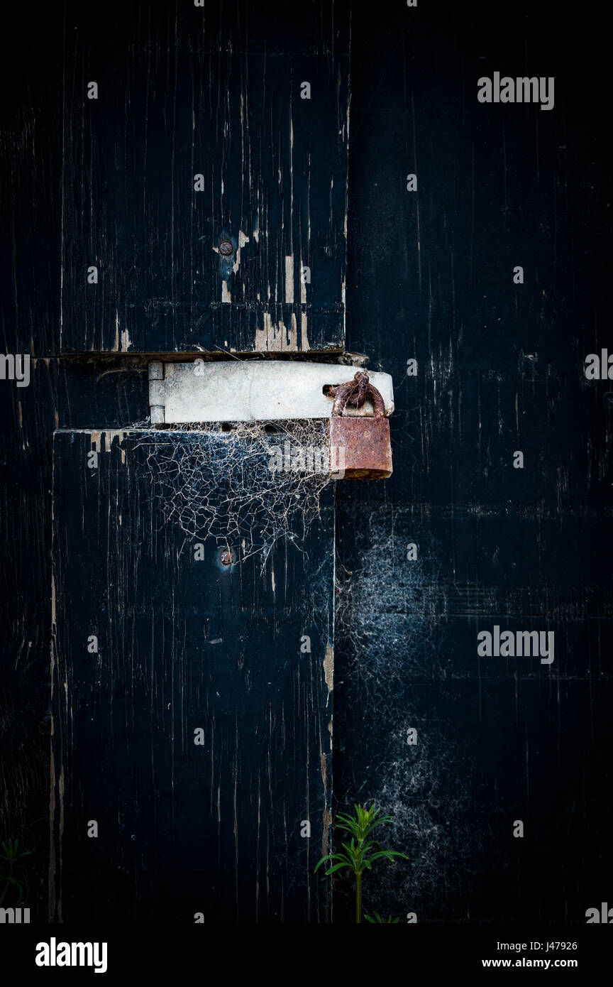 Old door with cobweb hi-res stock photography and images - Alamy