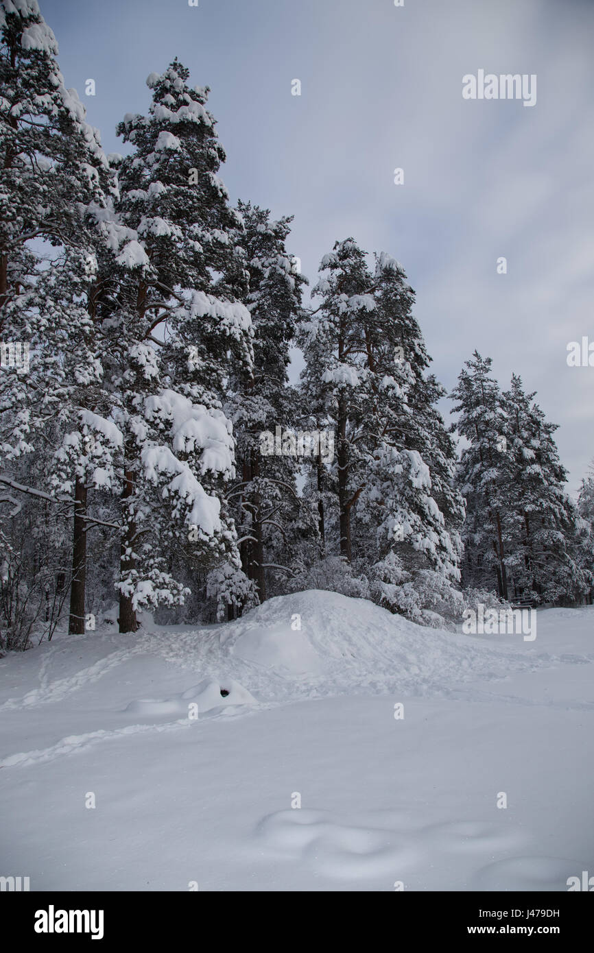 Cold russian snow winter Stock Photo - Alamy