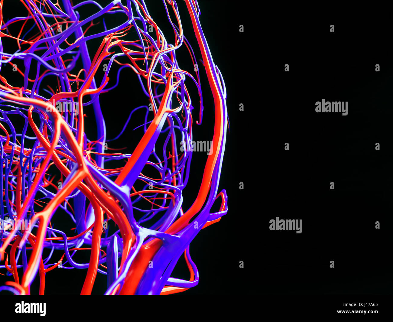 Lymphatic vessels anatomy hi-res stock photography and images - Alamy