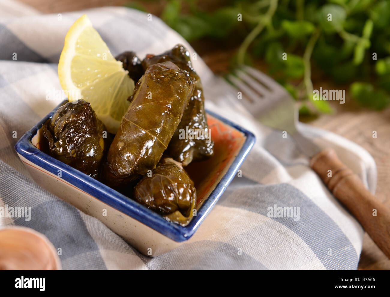 Traditional greek meal - Dolmadakia Stock Photo - Alamy