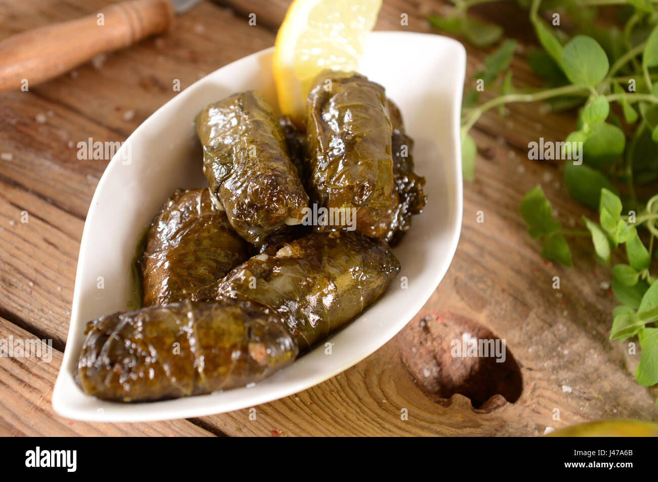 Traditional greek meal - Dolmadakia Stock Photo - Alamy
