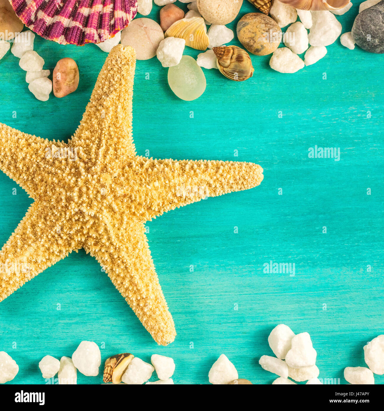 An overhead photo of a sea star, sea shells, and pebbles forming a ...