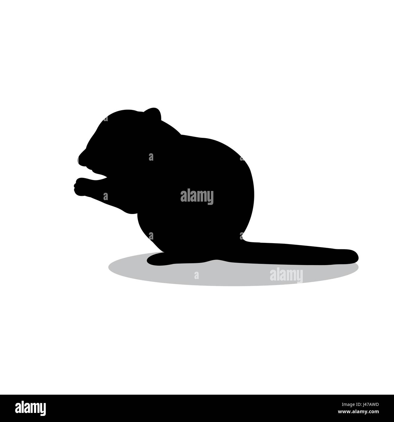 Black chipmunk Stock Vector Images - Alamy