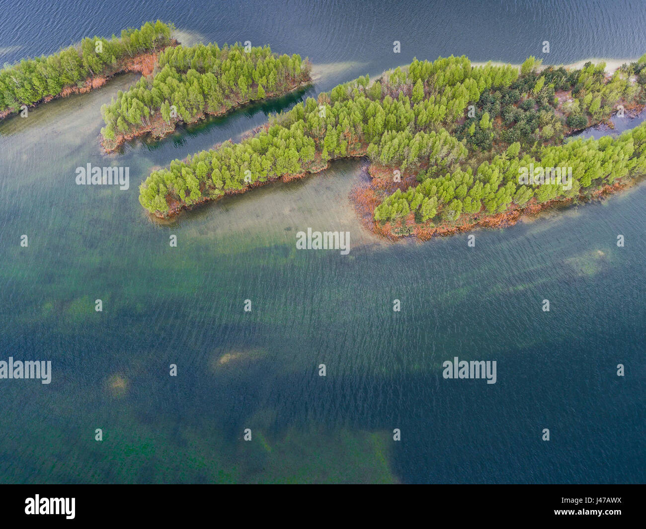 Lake and forest during spring time. View from above. Pogoria IV in ...