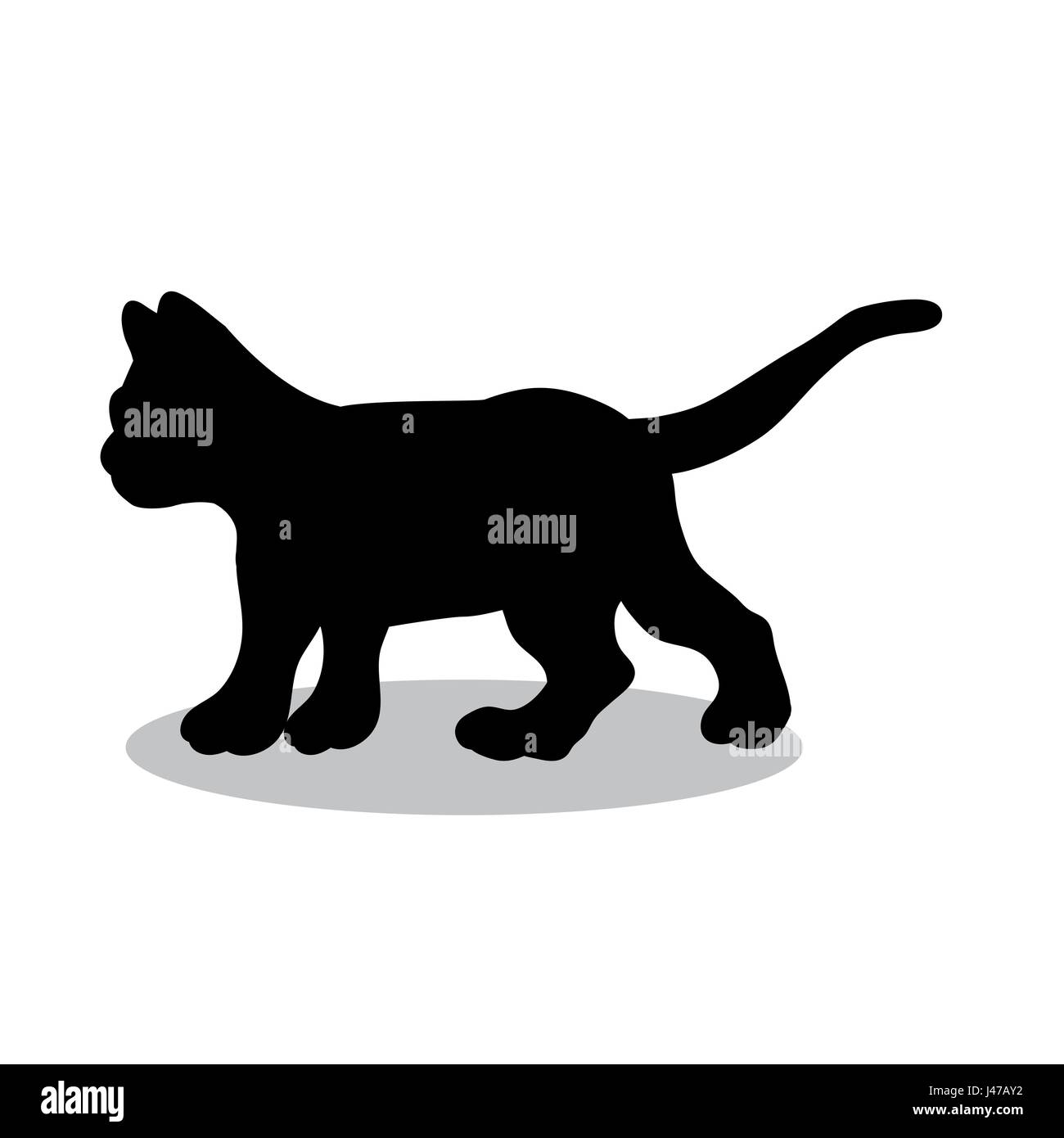 White kitten british breed Stock Vector Images - Alamy