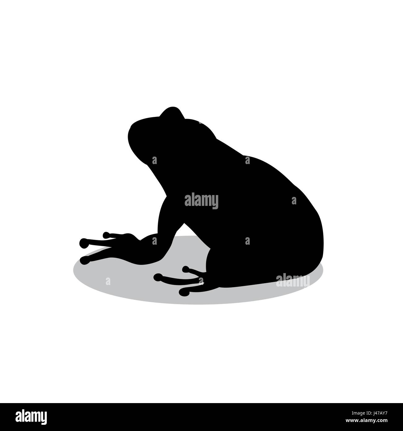 Frog isolated black white Stock Vector Images - Alamy