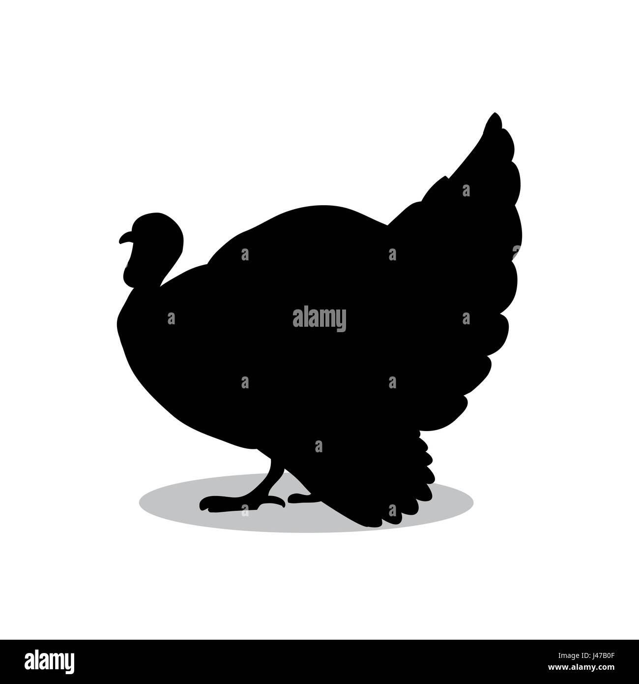 Animal november Cut Out Stock Images & Pictures - Alamy