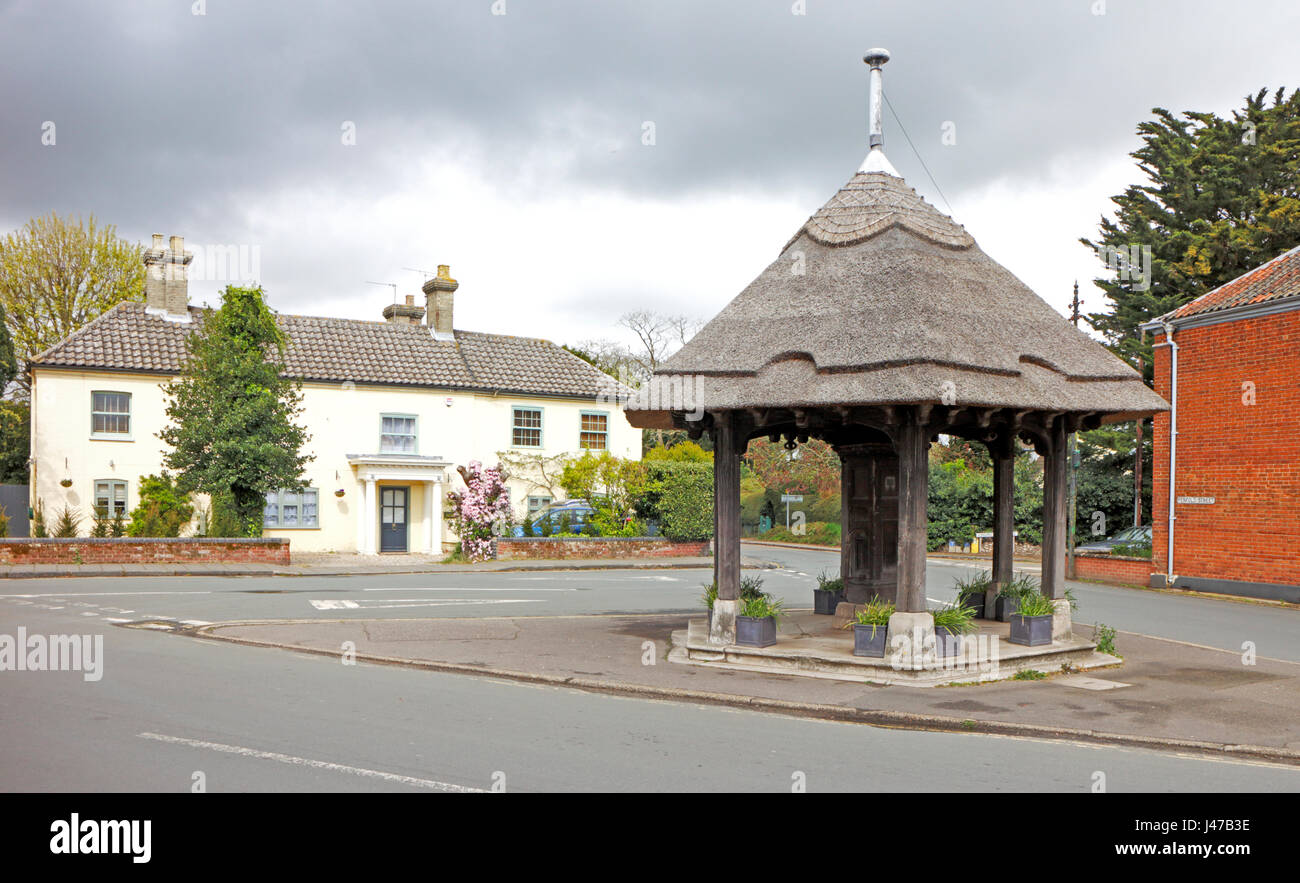 A view of the John Soame memorial pump on the Cawston Road at Aylsham ...