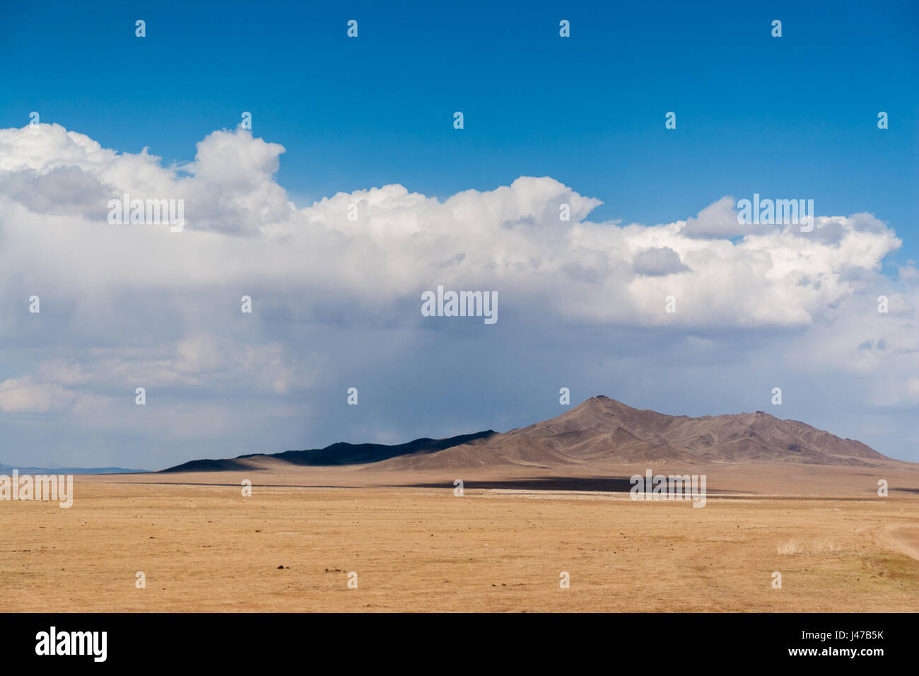 Mongolian wild steppe view with few mountains on horizon Stock Photo ...