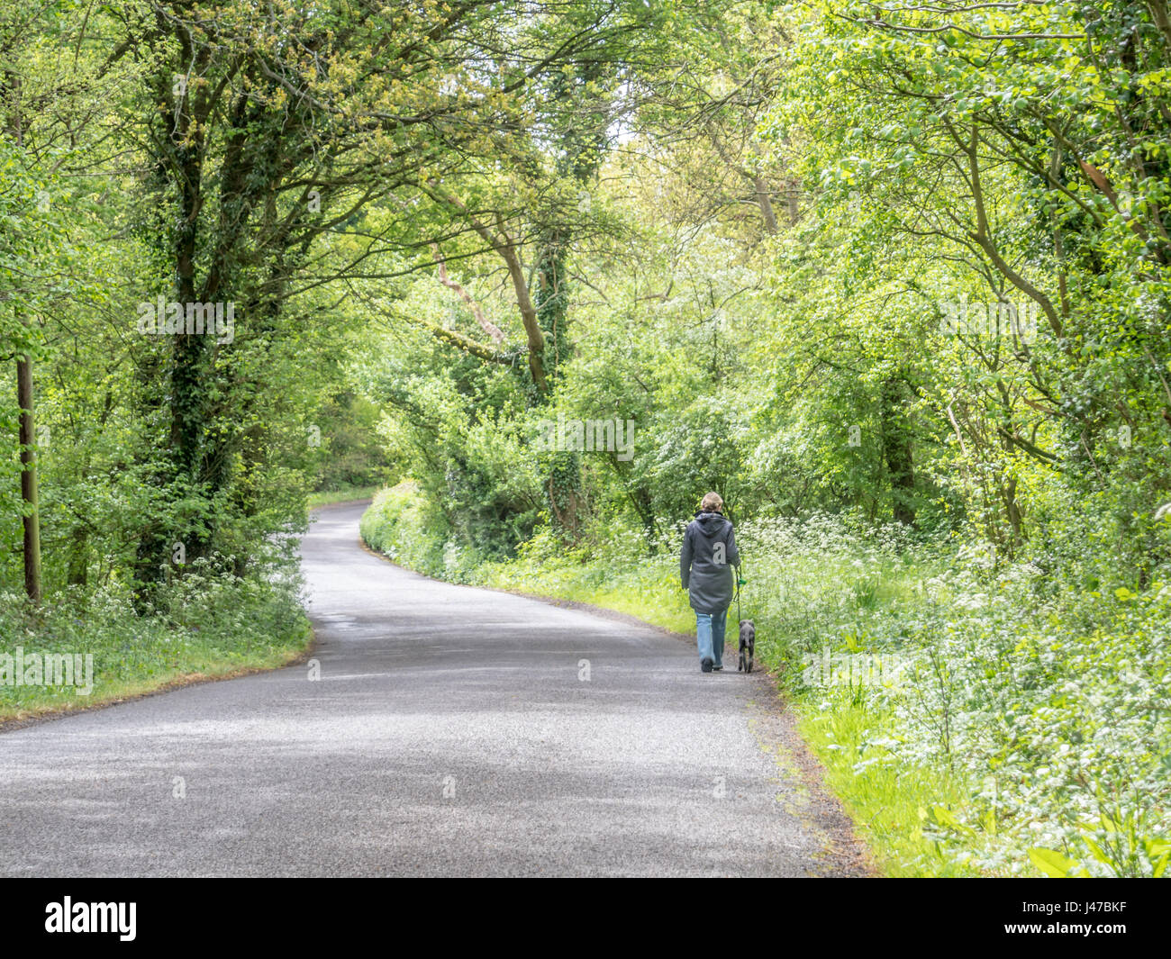 A Walk in the countryside Stock Photo - Alamy