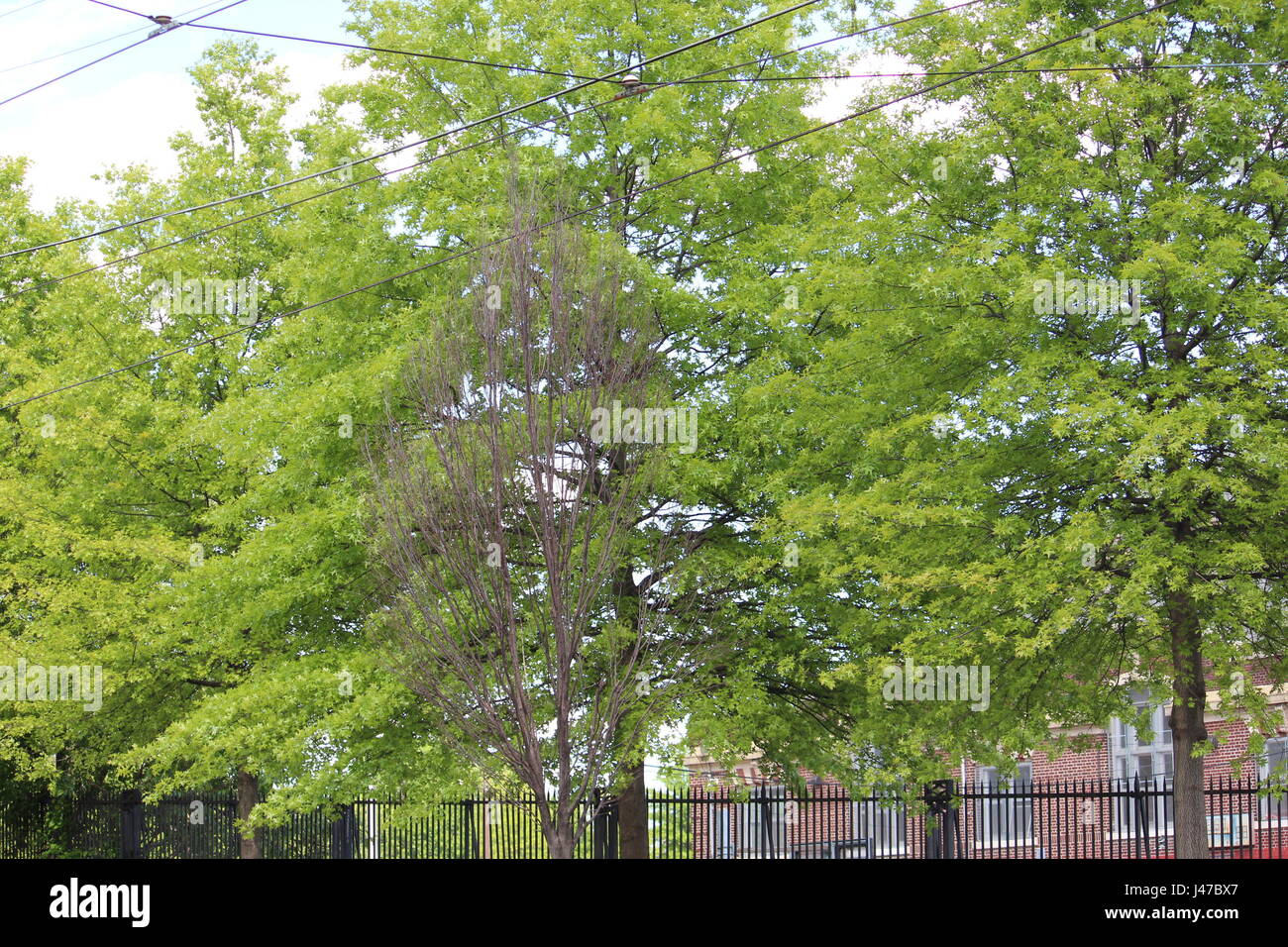Kingsessing Playground in Philadelphia Stock Photo - Alamy