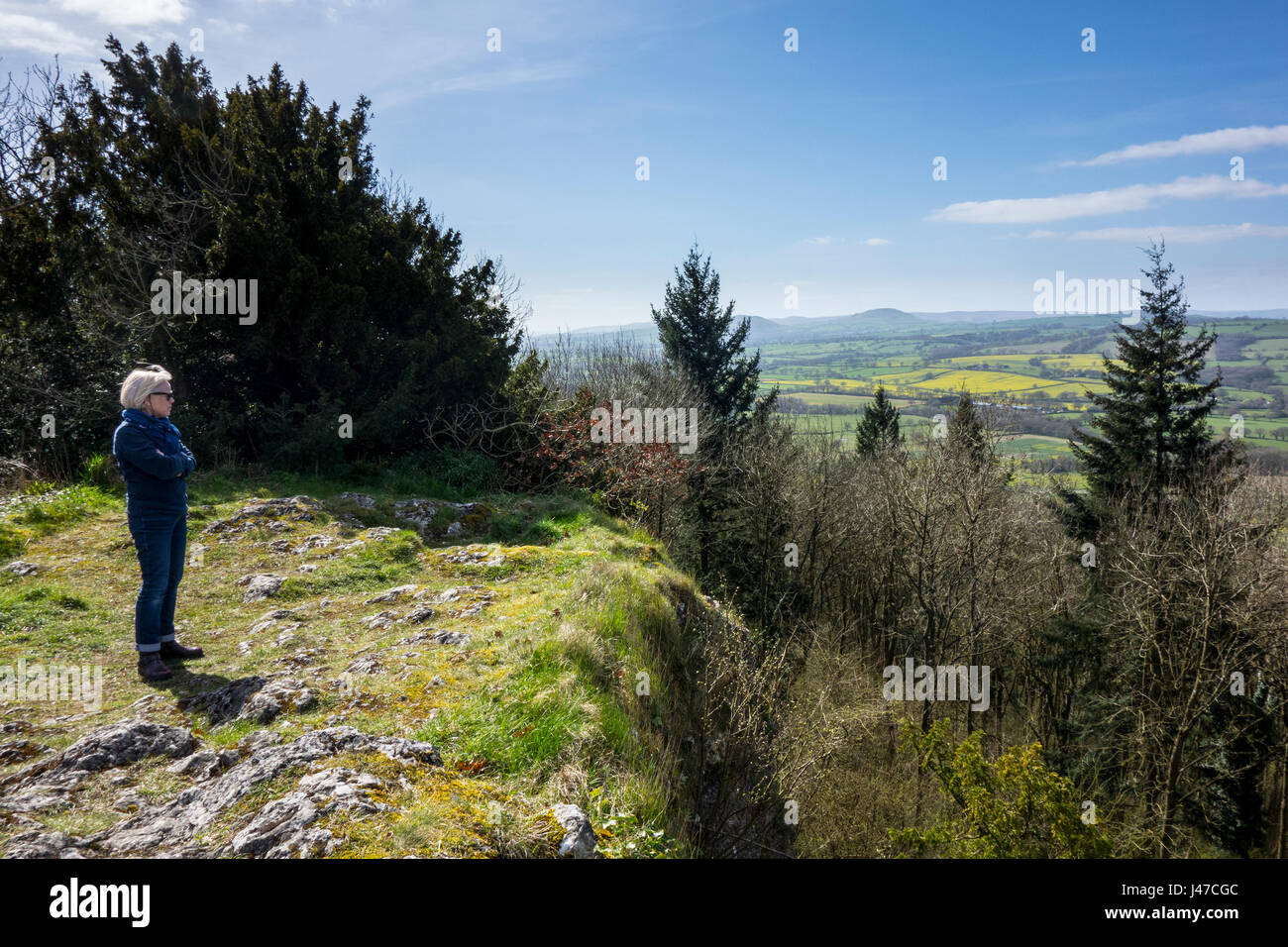 Wenlock Edge, Shropshire, England, UK, limestone escarpment Stock Photo ...