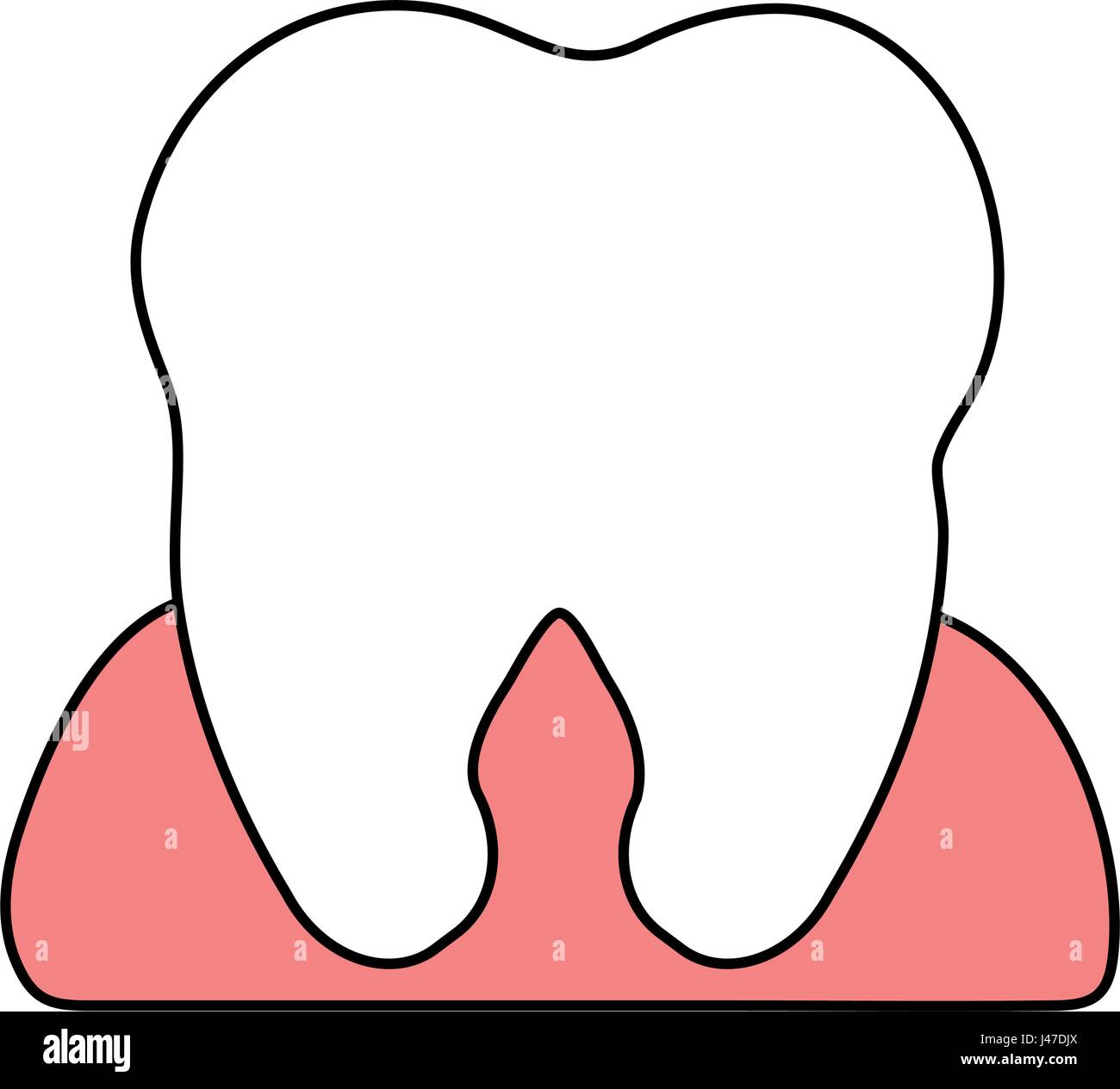 Closeup view of healthy teeth Stock Vector Images - Alamy