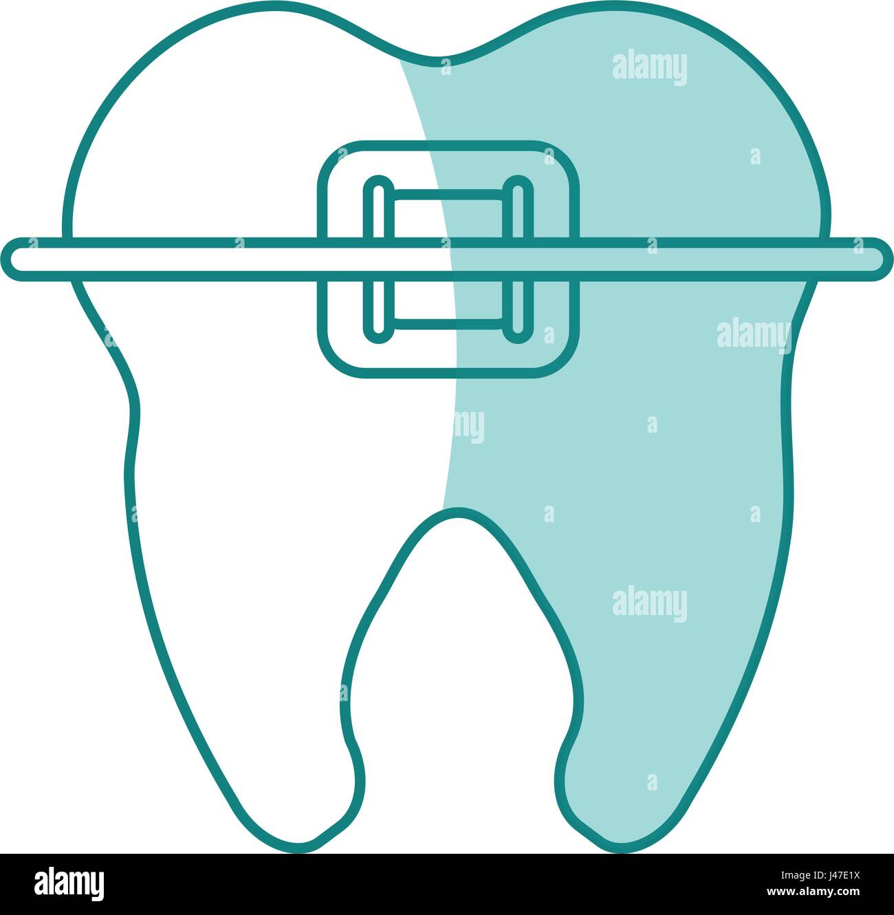 green shading silhouette cartoon orthodontic tooth Stock Vector Image ...