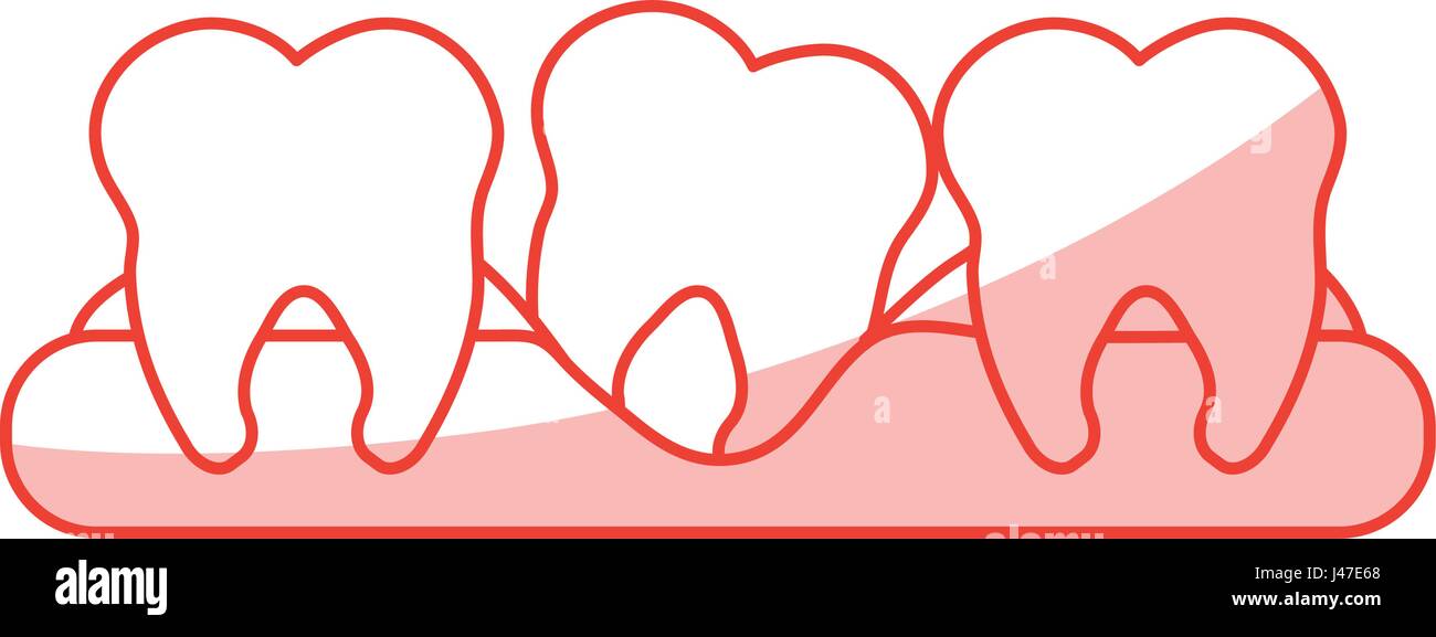 red shading silhouette cartoon set tooth in gum Stock Vector Image ...