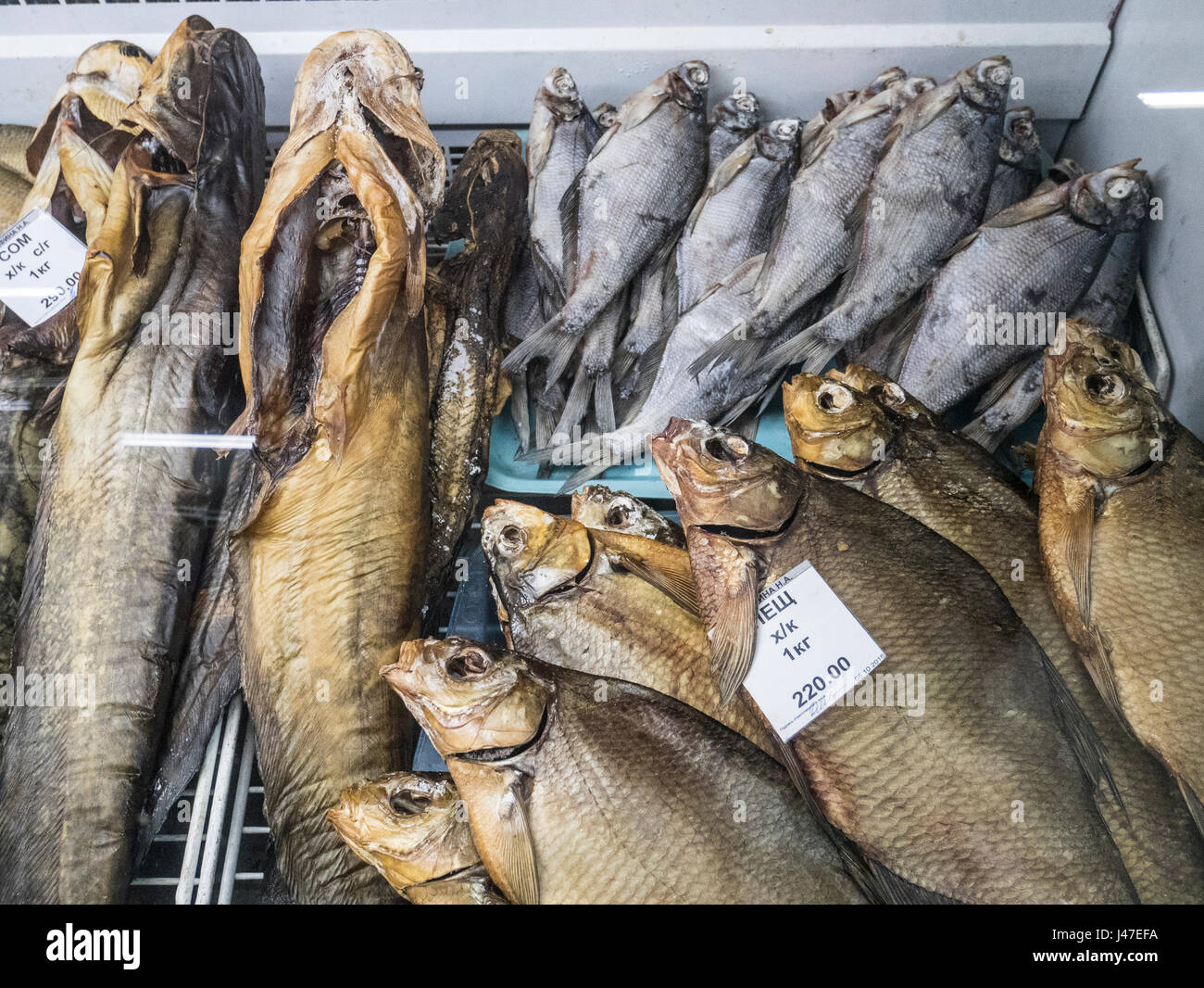 Dried and salted Catfish for sale on a market stall in Kazan, Tatarstan ...