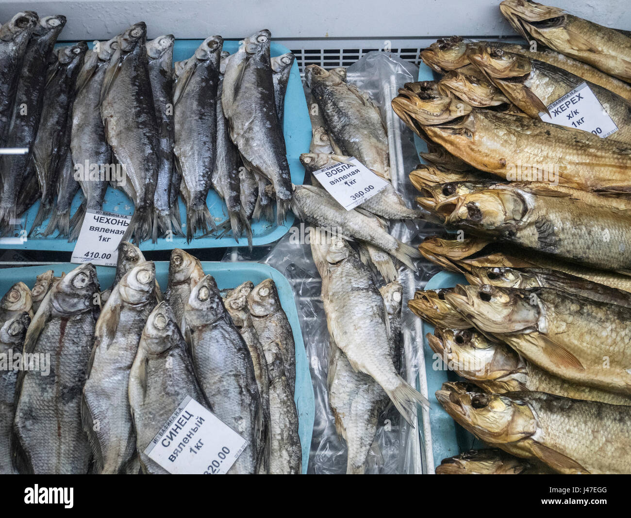 Sabre carp hi-res stock photography and images - Alamy