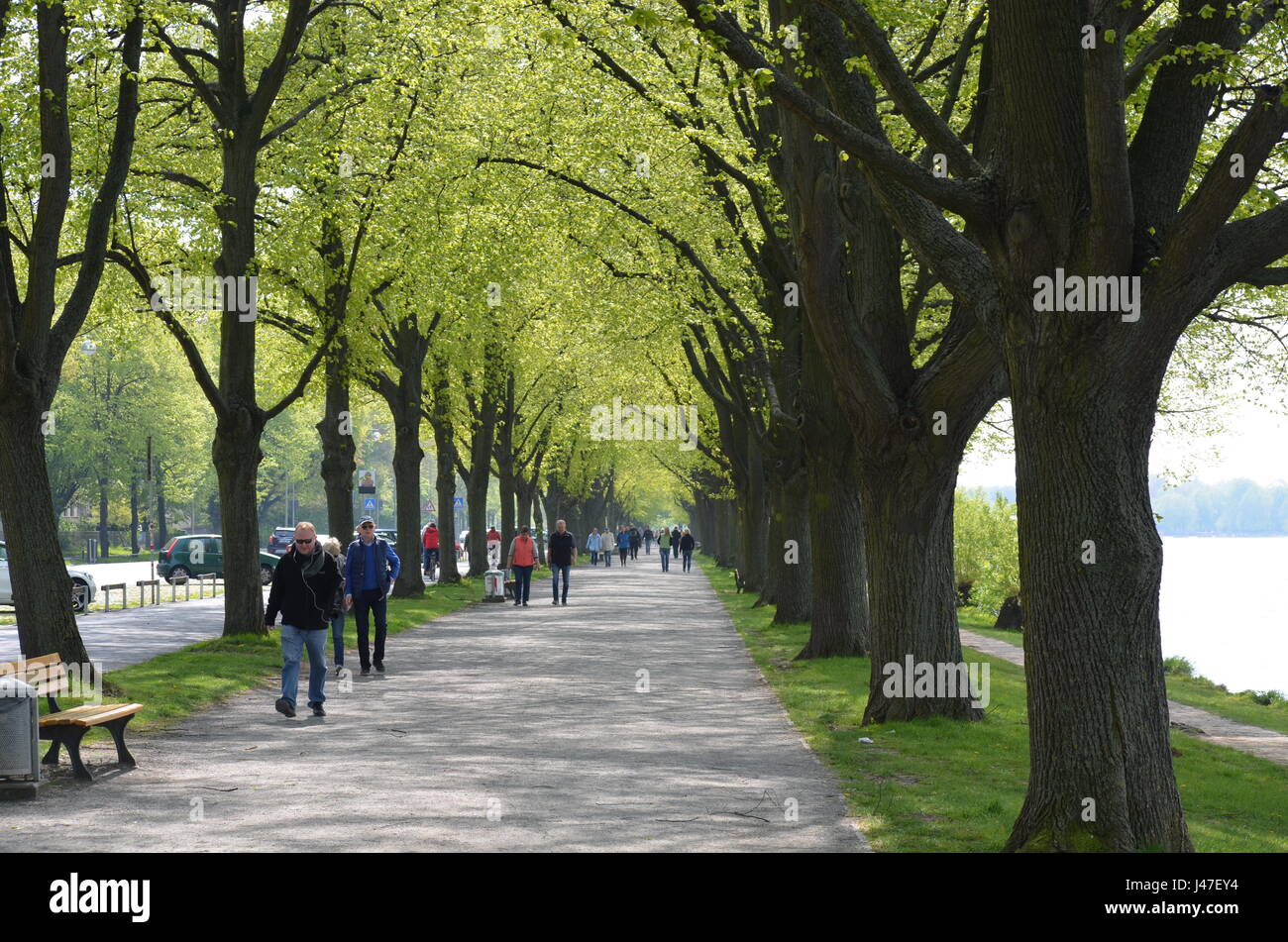 Walking path in Hannover - Germany Stock Photo - Alamy