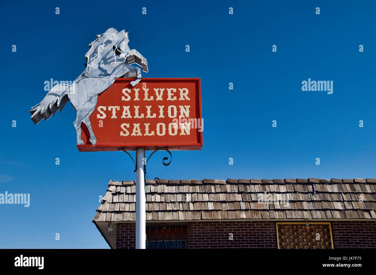 Silver stallion hi-res stock photography and images - Alamy