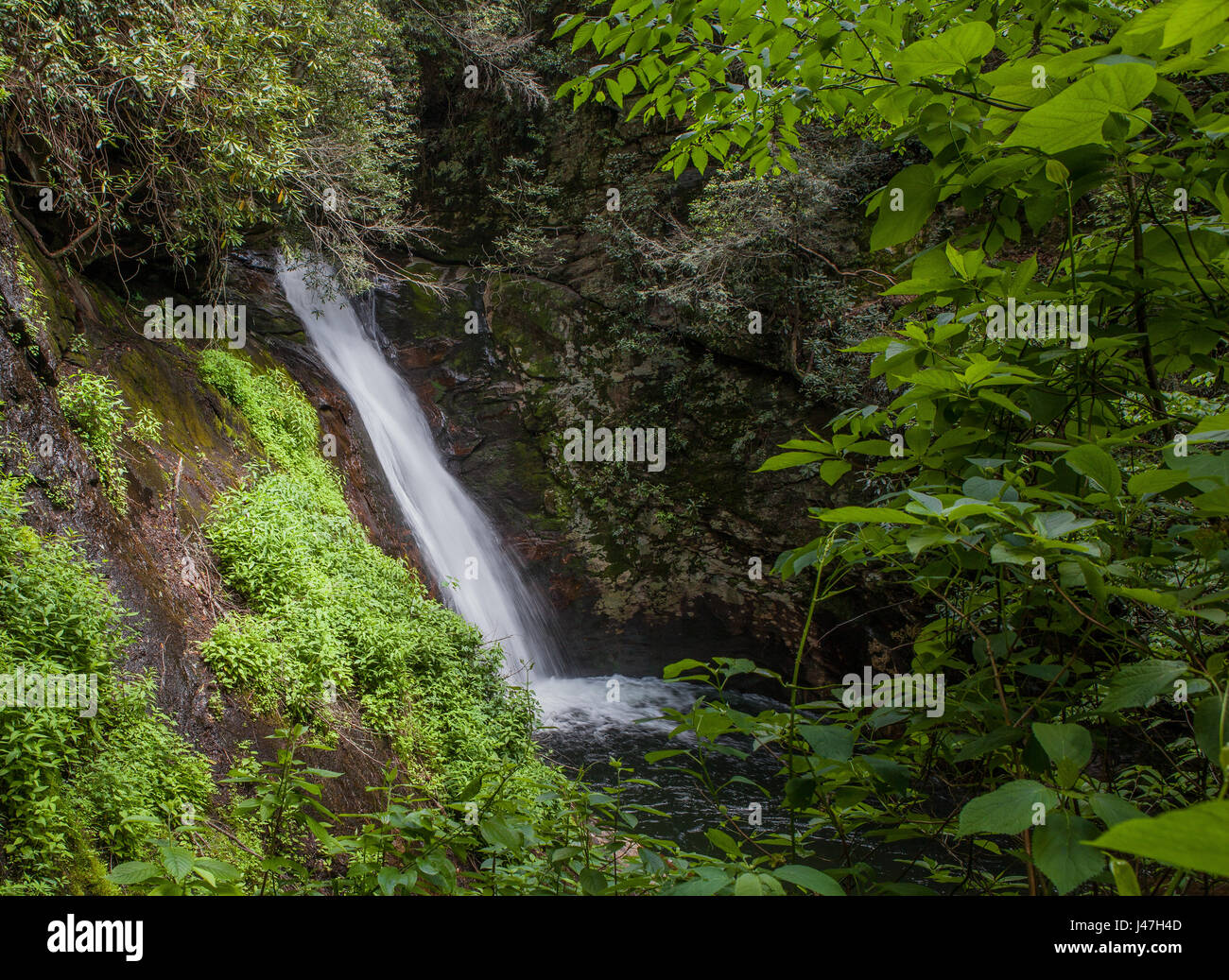Courthouse Falls in Pisgah Forest, North Carolina Stock Photo - Alamy