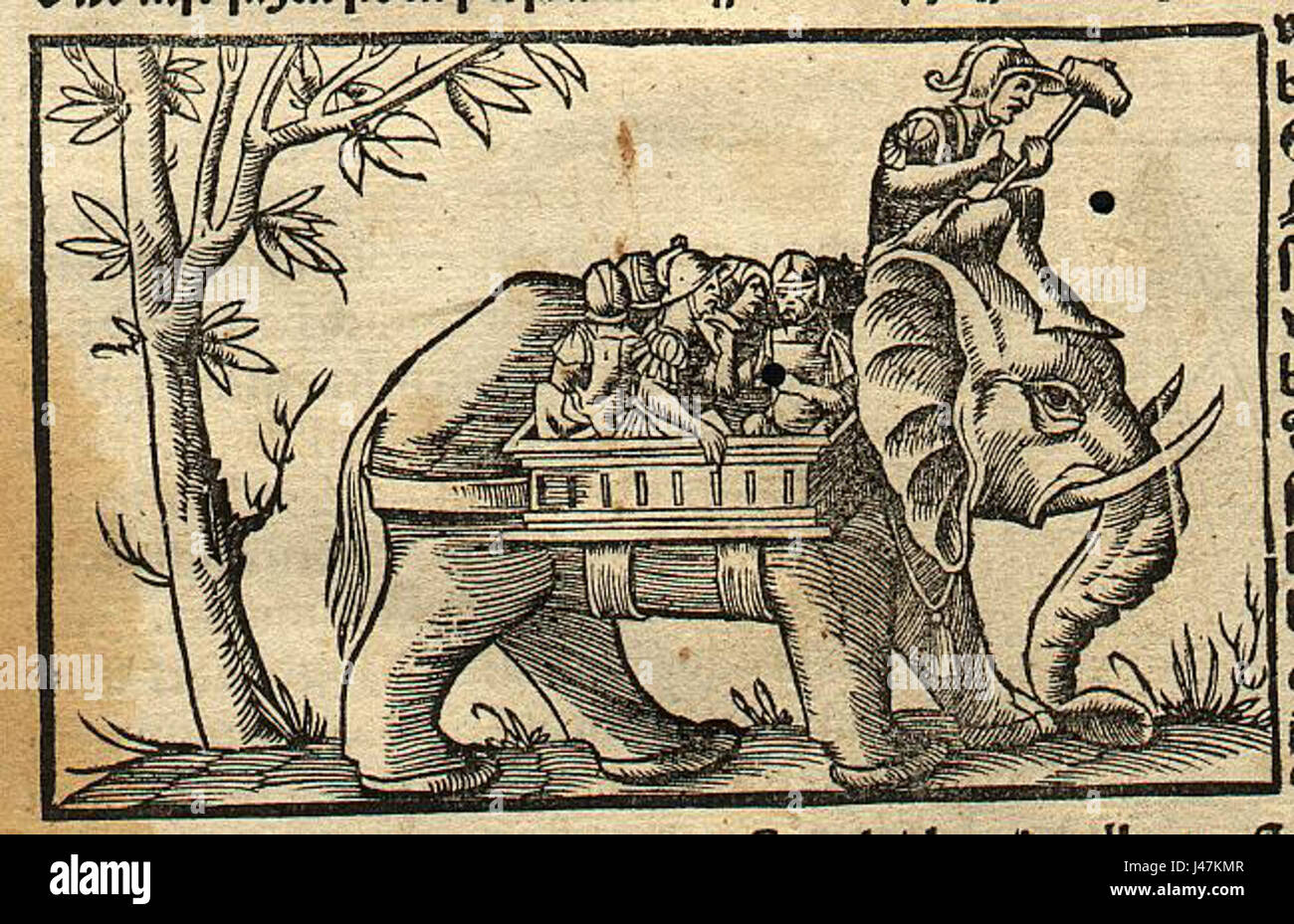 Military elephant hi-res stock photography and images - Alamy