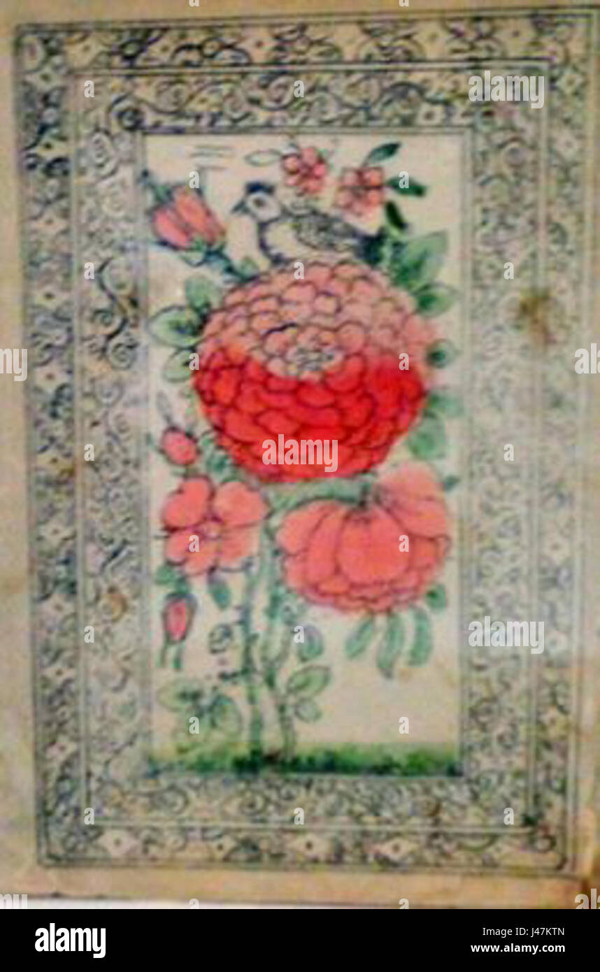 Manuscript photography hi-res stock photography and images - Alamy