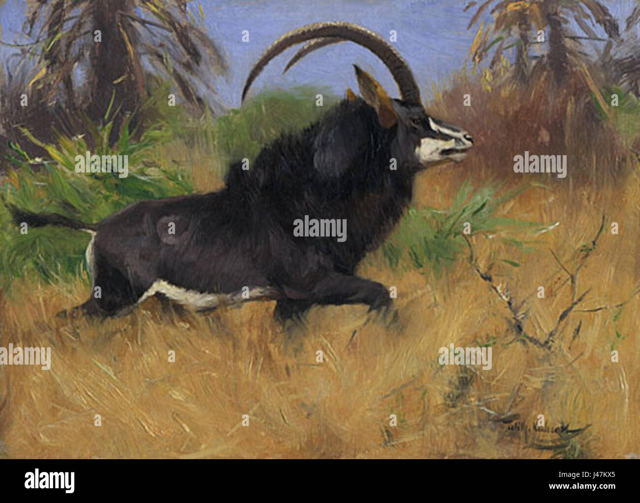 A painting depicting the Sable Antelope, a species native to Southern ...