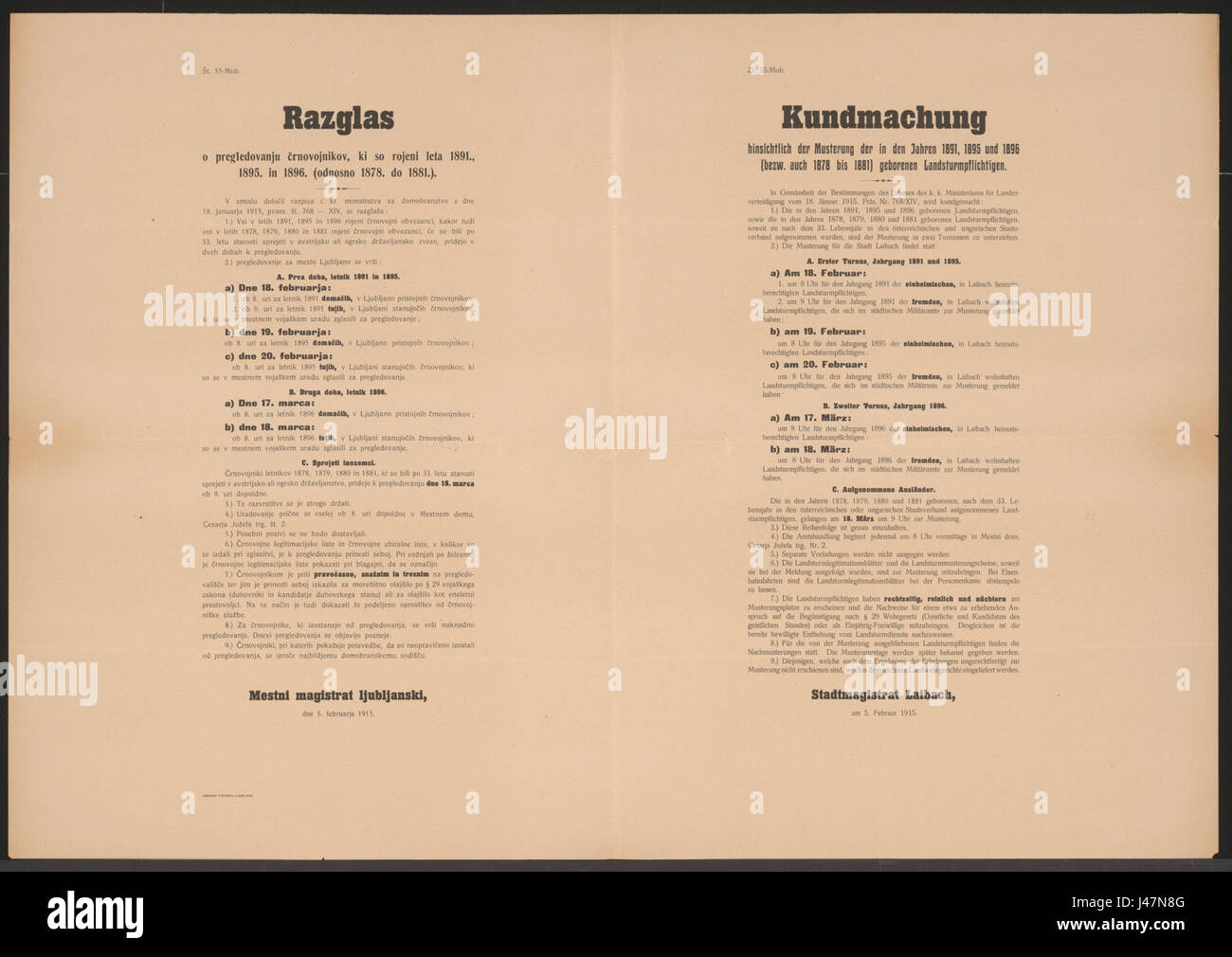 The 'Musterung Kundmachung Laibach' is a multilingual poster from 1915 ...