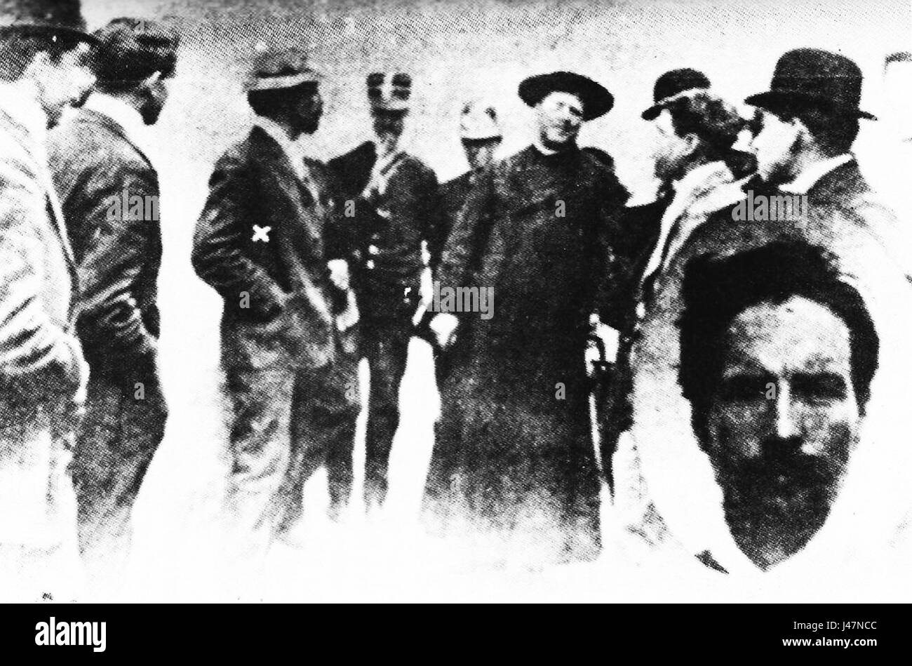 Landscaping species Black and White Stock Photos & Images - Alamy