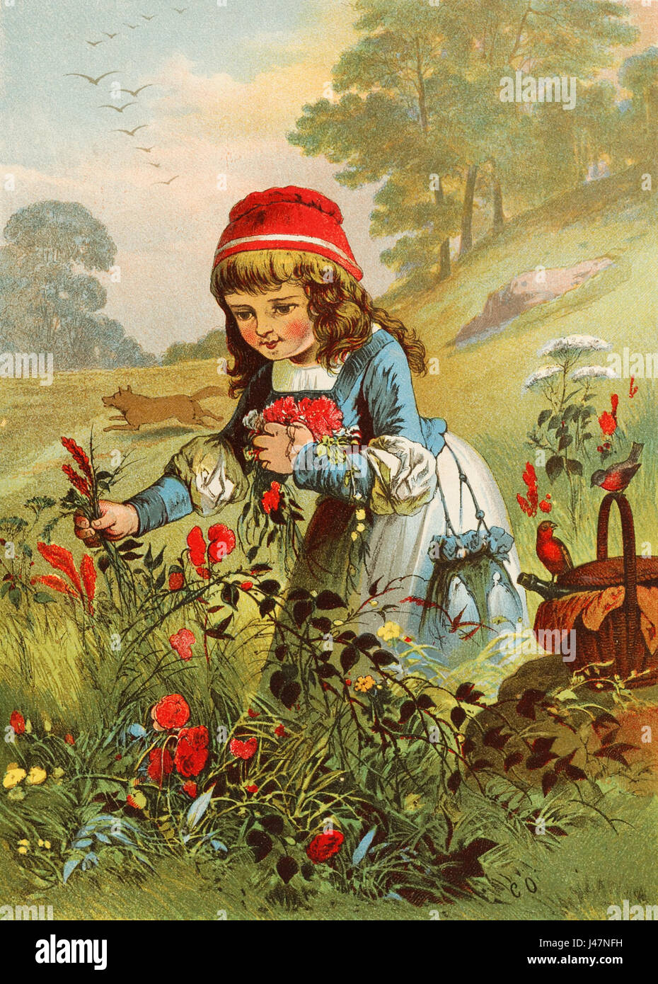 Little red riding hood hi-res stock photography and images - Alamy