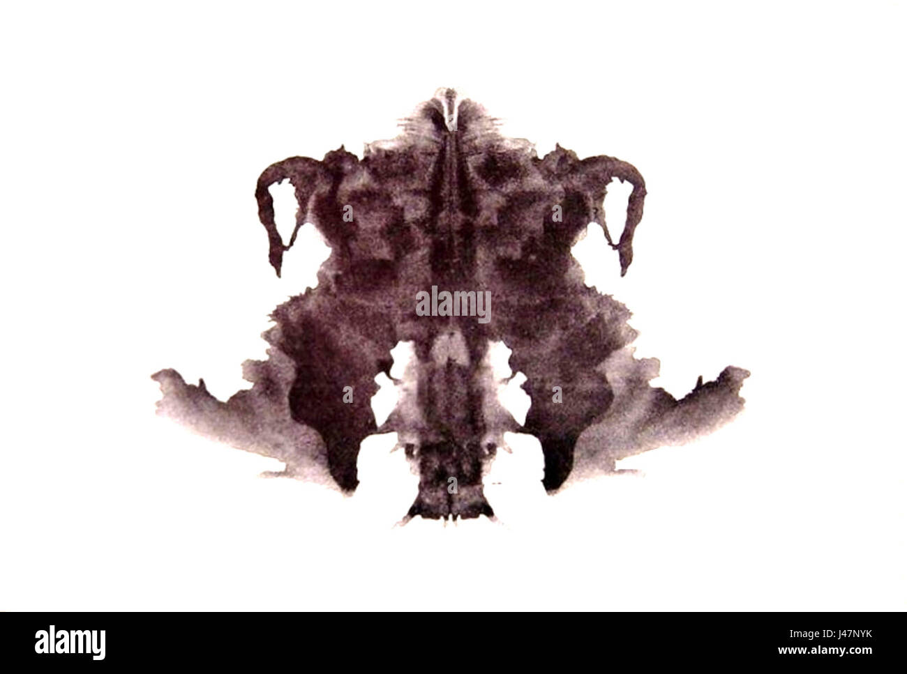 This is a normalized version of a Rorschach inkblot, a psychological ...