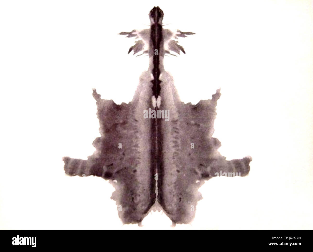 This refers to a Rorschach inkblot test image, a psychological tool ...