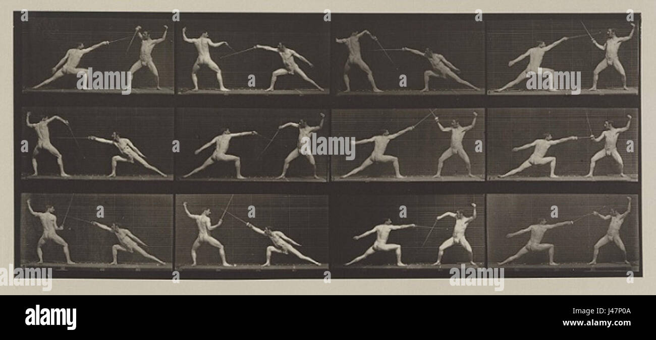 Eadweard Muybridge's photographic study of fencers, capturing motion ...