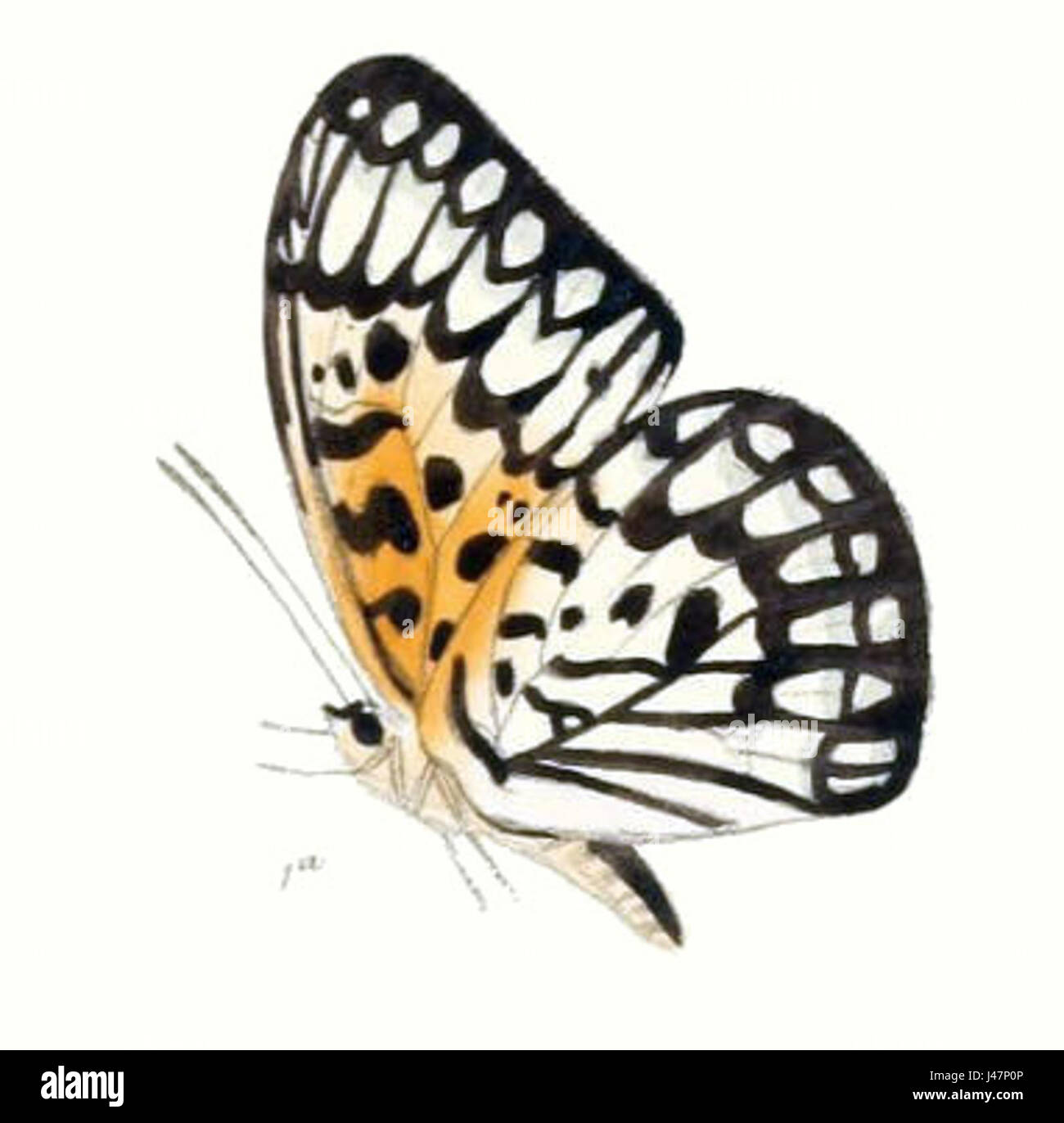 Cognitive science concept Cut Out Stock Images & Pictures - Alamy