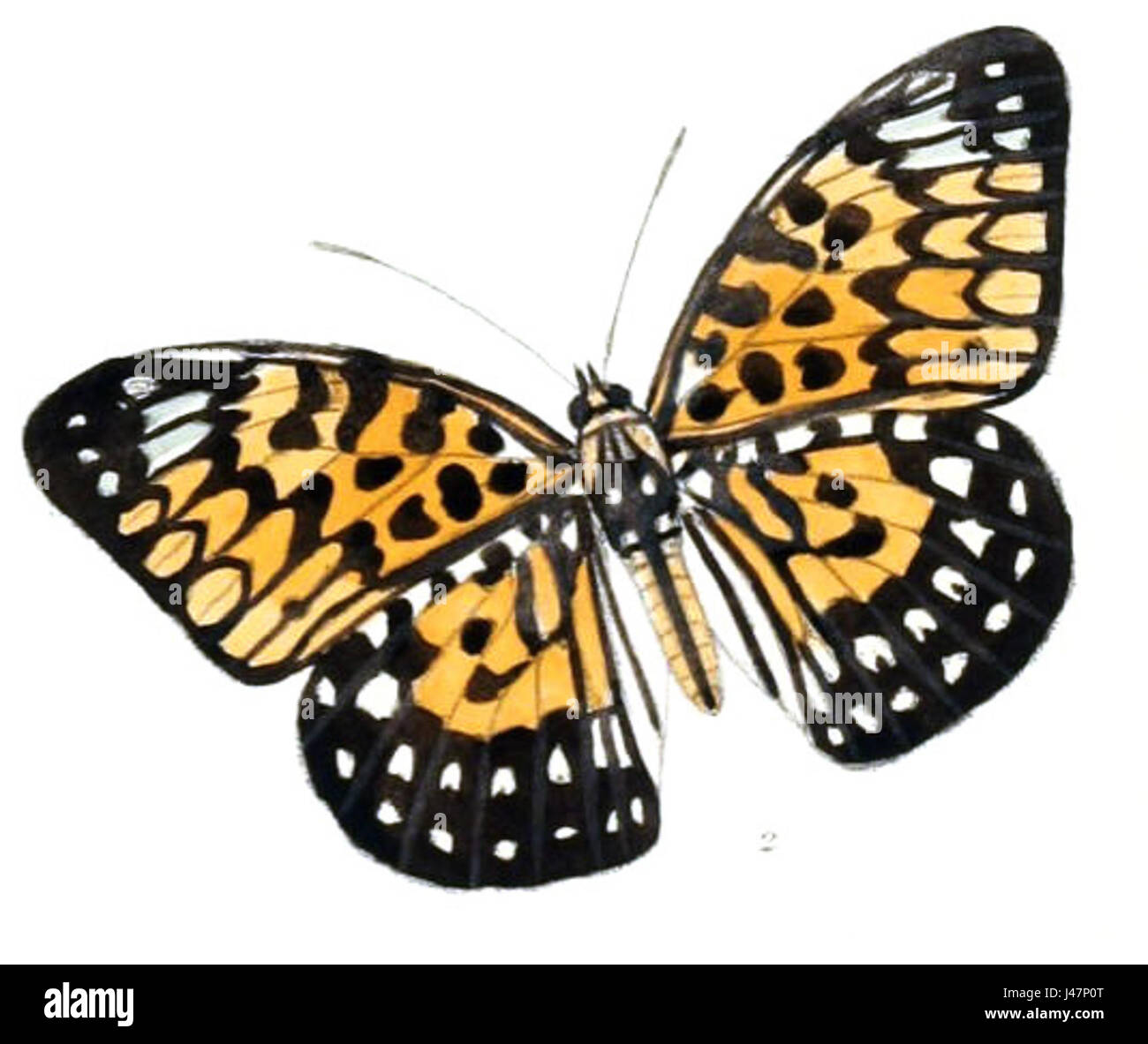 Cognitive science concept Cut Out Stock Images & Pictures - Alamy