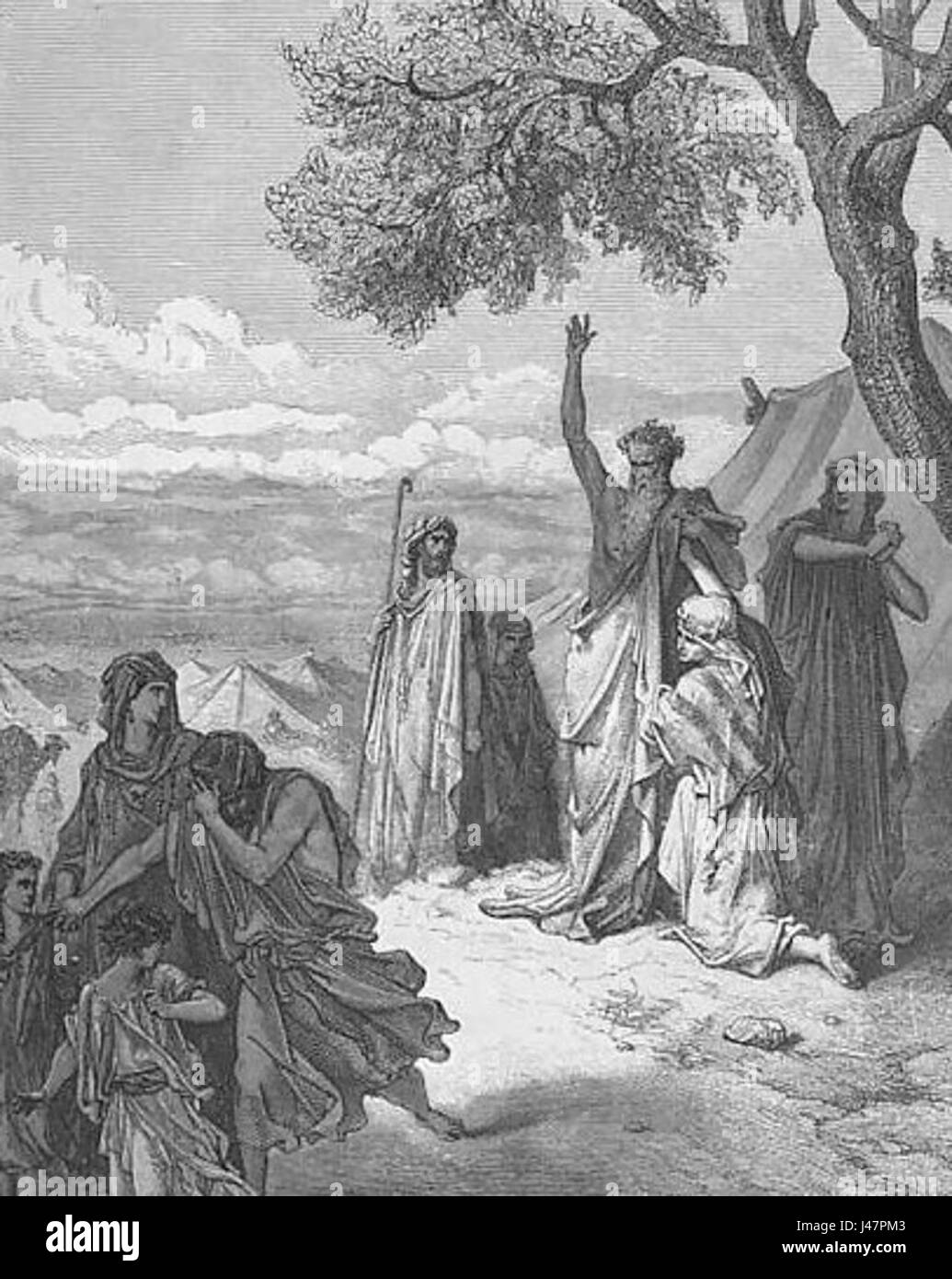 Nakedness of noah hi-res stock photography and images - Alamy